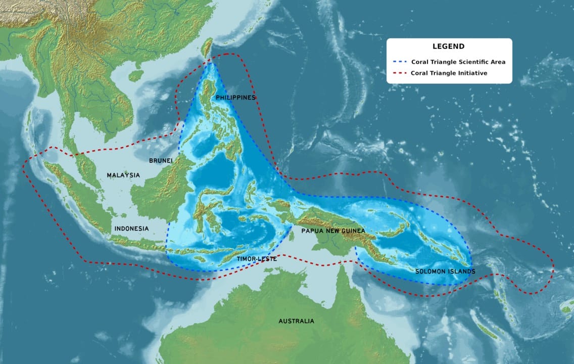 The Coral Triangle:A Diver’s Paradise And The Heart