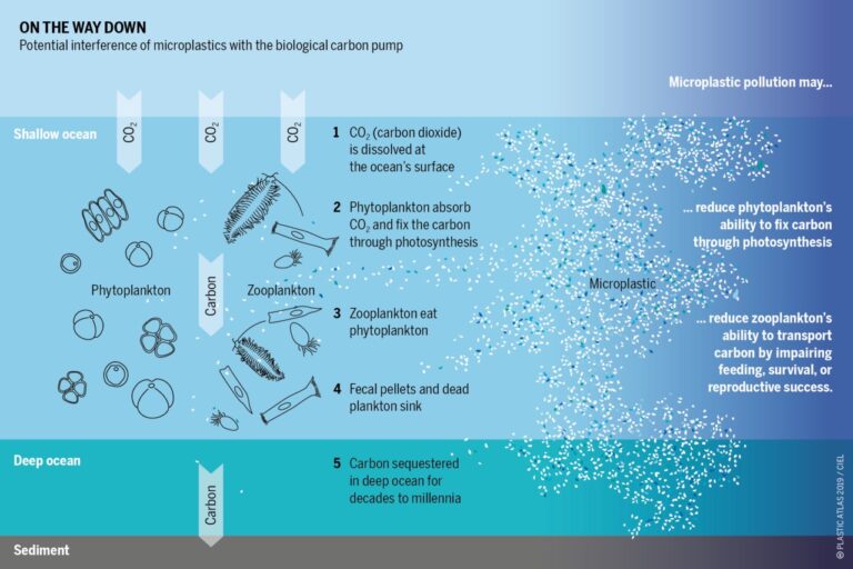 Microplastics And Ocean Pollution Major Threat Marine Life