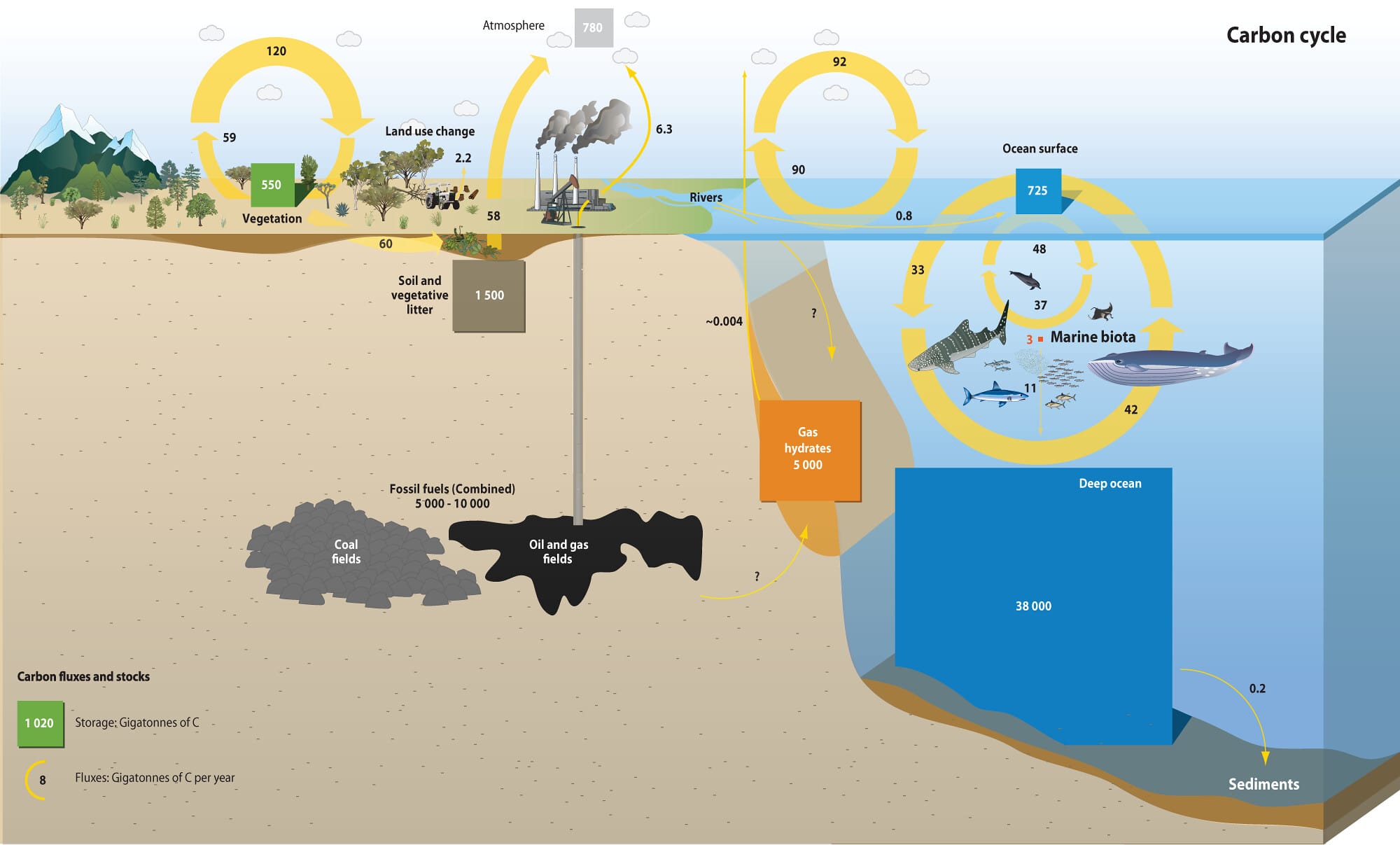 The Carbon Cycle And Marine Ecosystems: Impact On Palawan