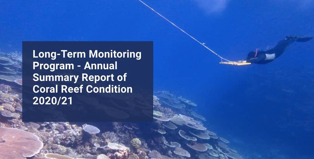 Palawan Joint Conservation Efforts Preserving Paradise