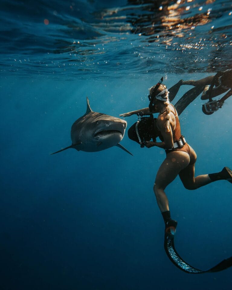 🌊 Best Diving Gear Fisch For Coron And Palawan Adventures